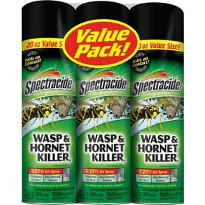 Wasp Spray 30 Feet
