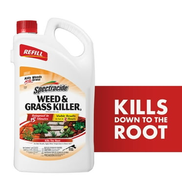 Spectracide Extended Control Weed & Grass Killer, 1 Gallon, Prevents ...