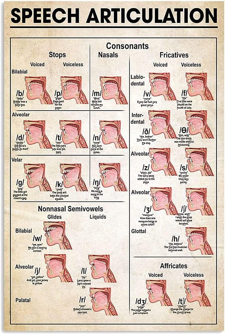 Speech Articulation Guide Metal Tin Signs Vintage Slp Knowledge Posters ...