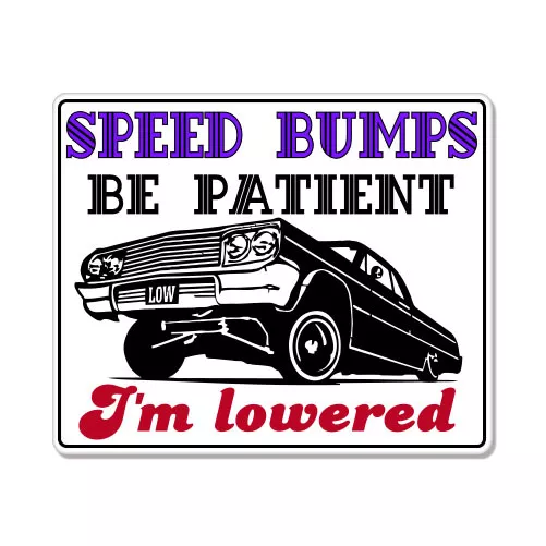 Speed Bumps Be Patient I Am Lowered Sticker Decal Phone Decal Water ...