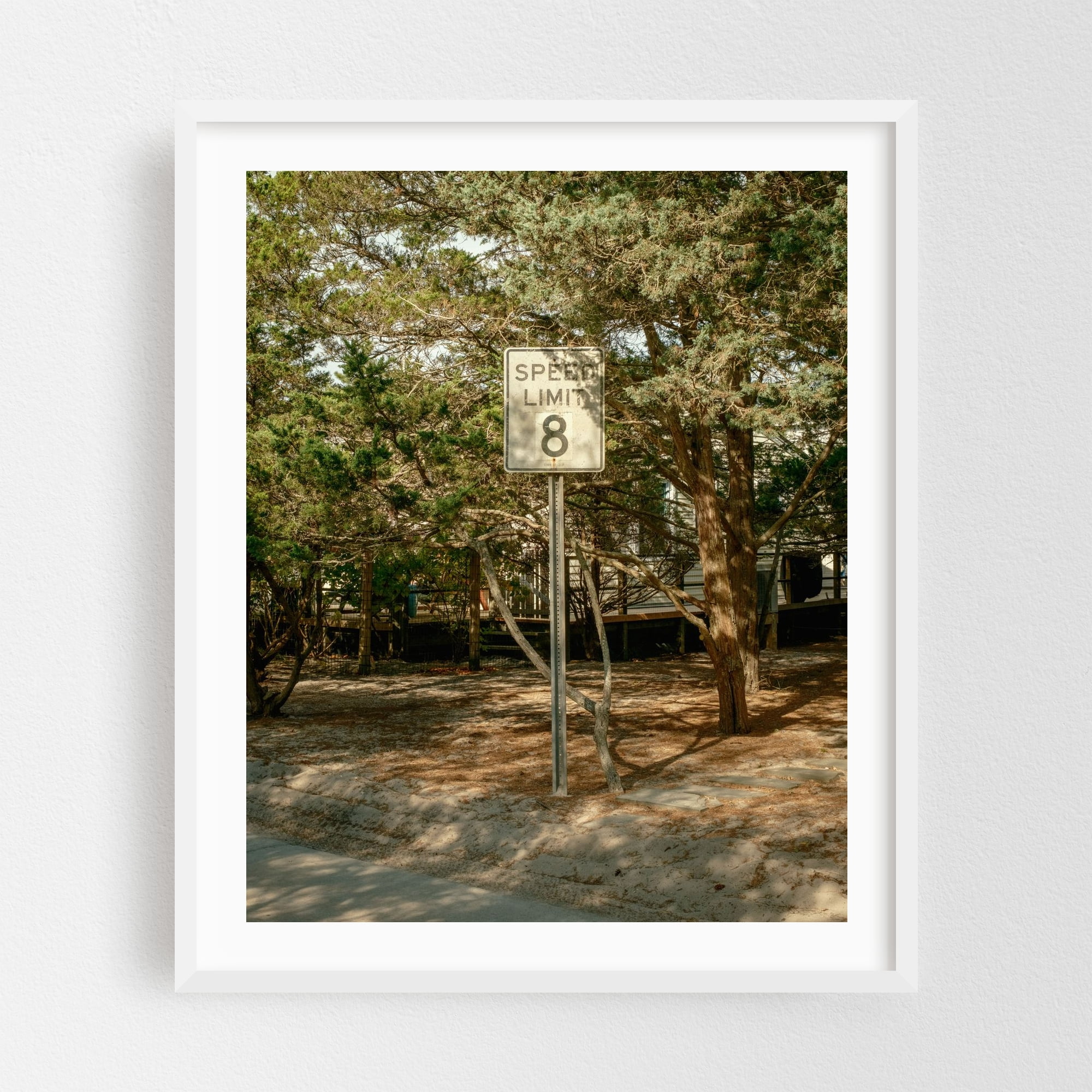 Speed Limit 8, Fire Island - Fire Island New York Photography Nature ...