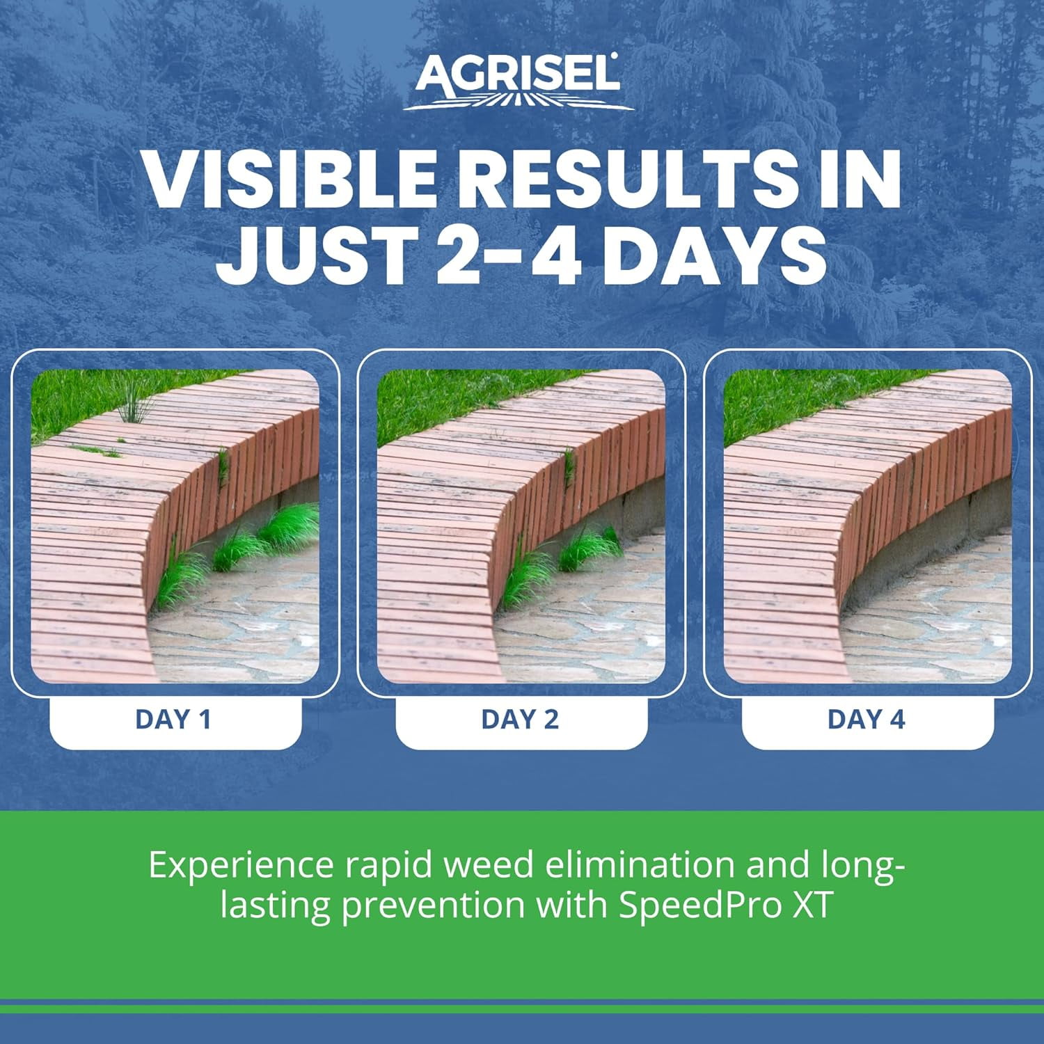 SpeedPro XT Herbicide, Non-Selective, Systemic, and Residual Herbicide ...