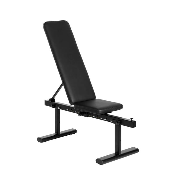 Speediance Adjustable Weight Bench, Full Body Workout, Strength ...