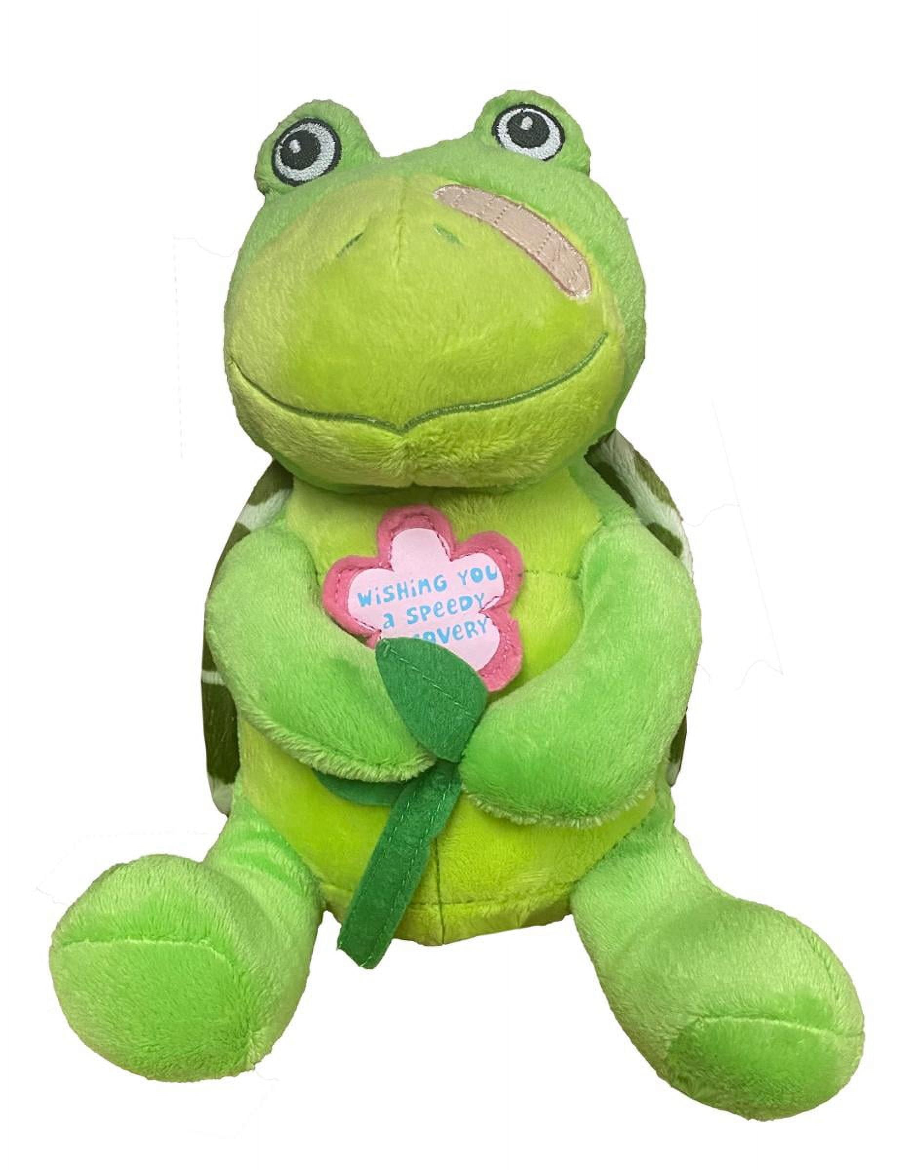 Speedy Recovery Turtles - Walmart.com