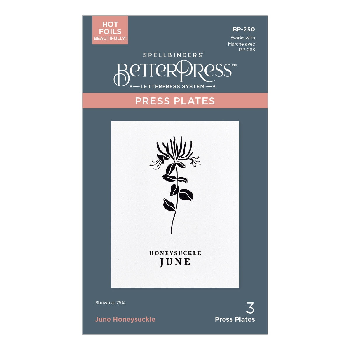 Spellbinders Press Plates From Florals Through The Year-June ...