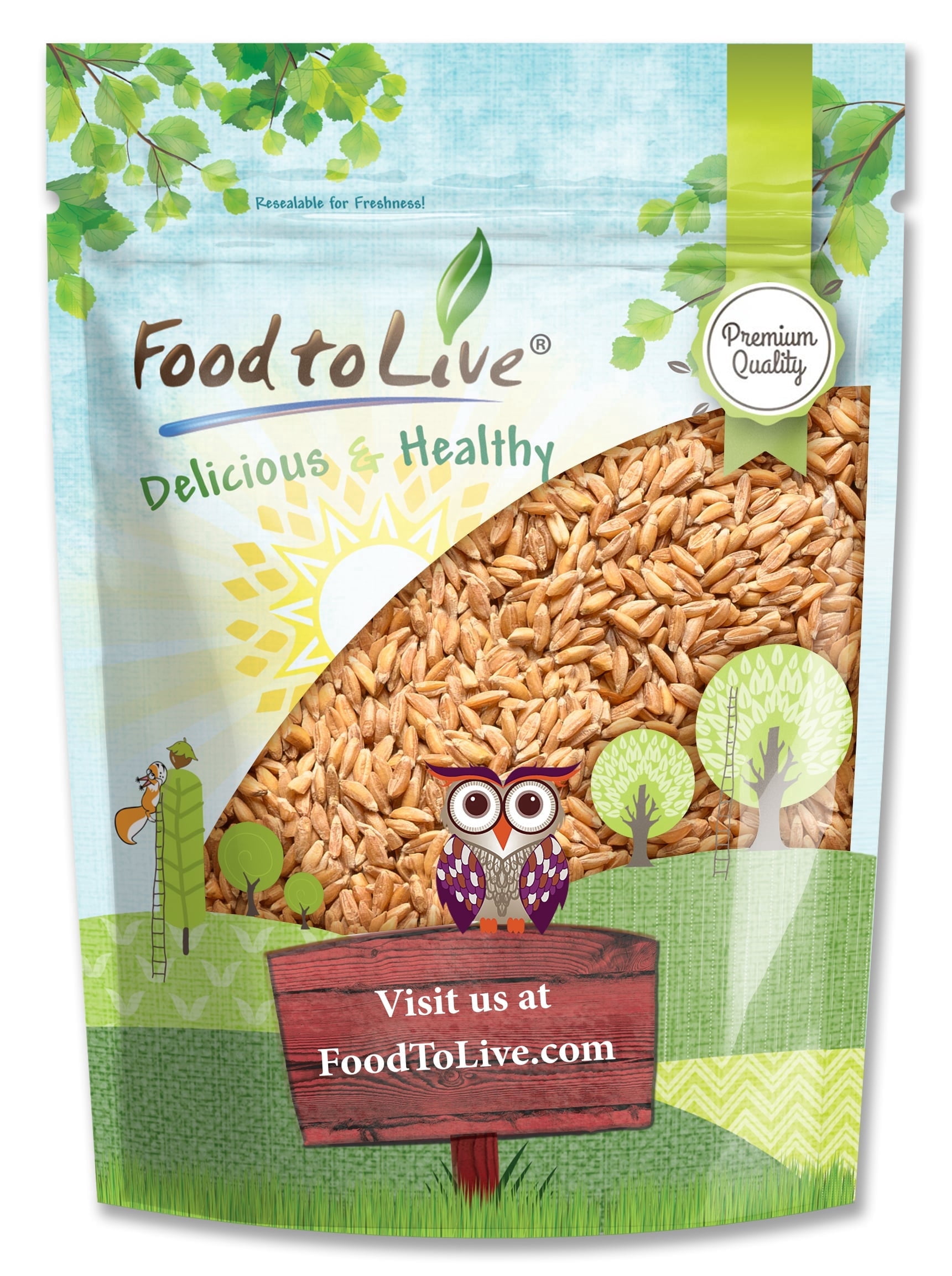 Spelt Berries, 3 Pounds – Rich in Fiber, Protein, and Iron. Made in USA ...