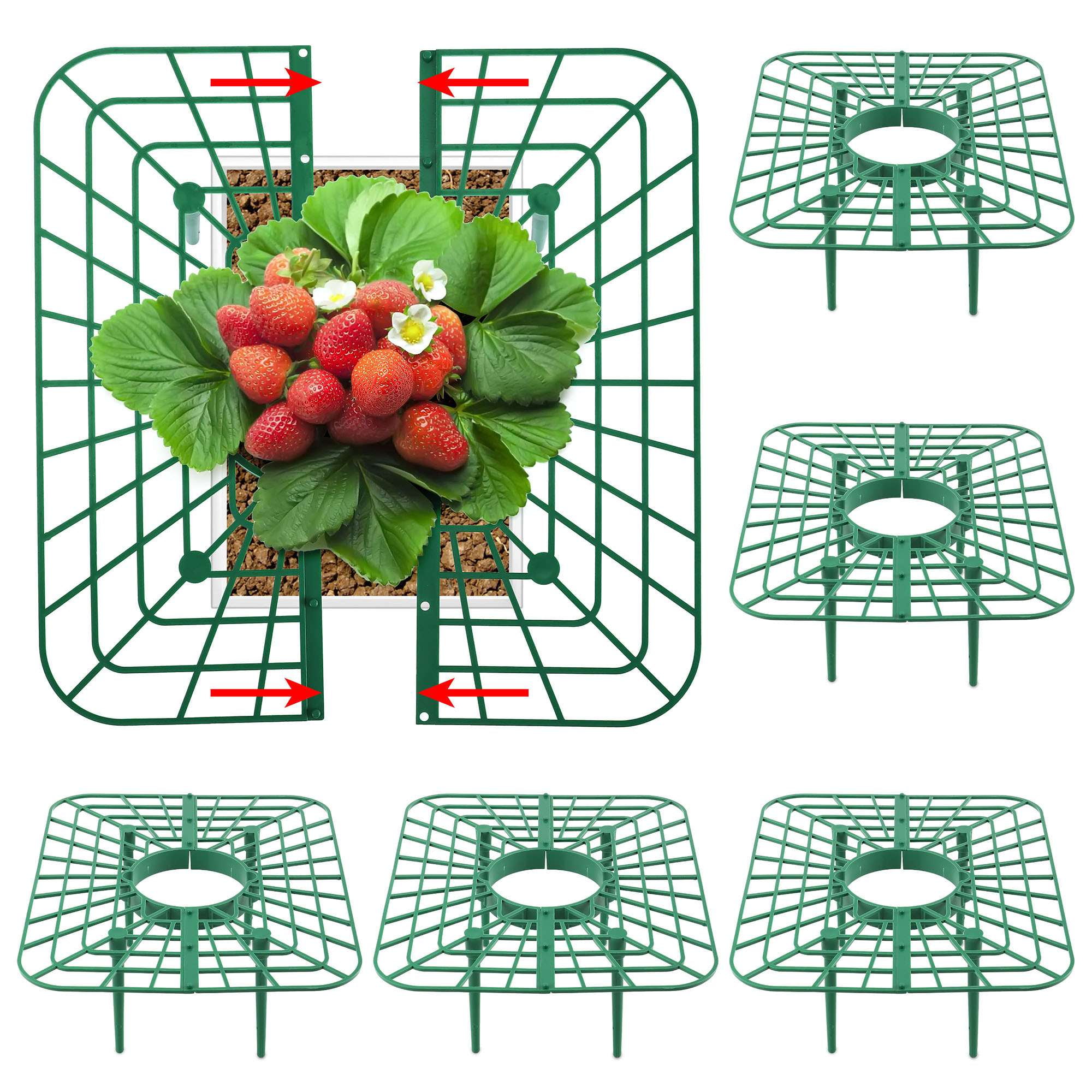 Spencer 5 Pack Strawberry Supports Strawberry Growing Racks Vegetable ...