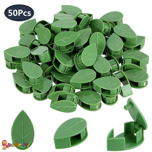 10 pcs Plant Wall Clips,Plant Climbing Wall Fixture Clips Plant Fixer ...