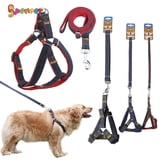 Spencer Adjustable & Durable Dog Leash Harness Set for Training and ...