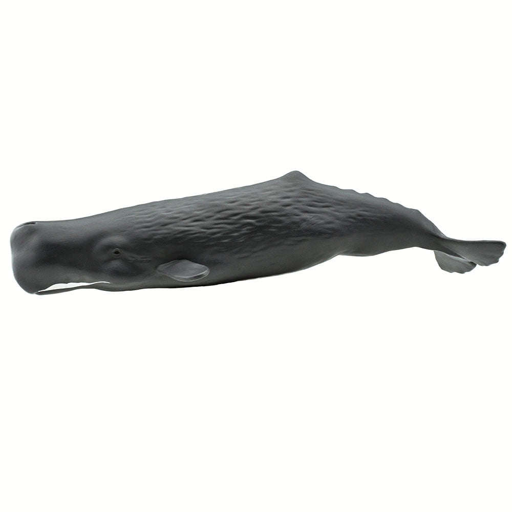 Safari 100209 Sperm Whale Figurine Multi Color - Walmart.com