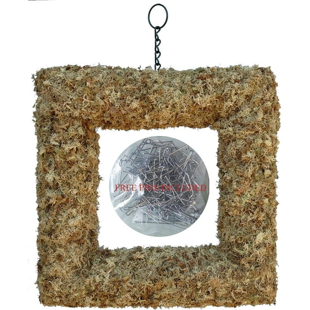 Sphagnum Living Wreath Form Square, Natural-Organic Original - Walmart.com
