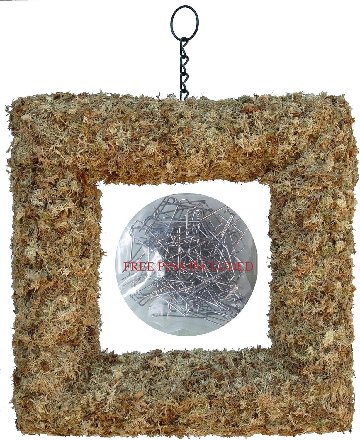 Sphagnum Moss Living Wreath Form Square, Natural-Organic Original ...