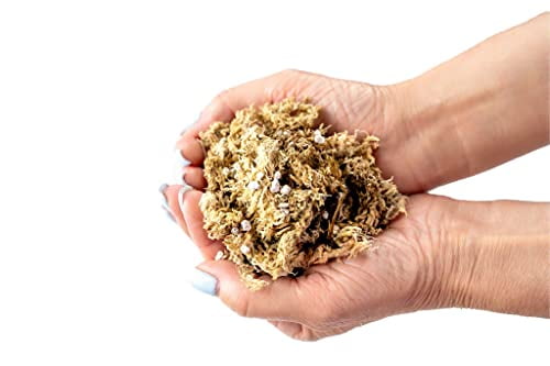 Sphagnum Moss Potting Mix for Carnivorous Plants - 10 Quart - Moss and ...