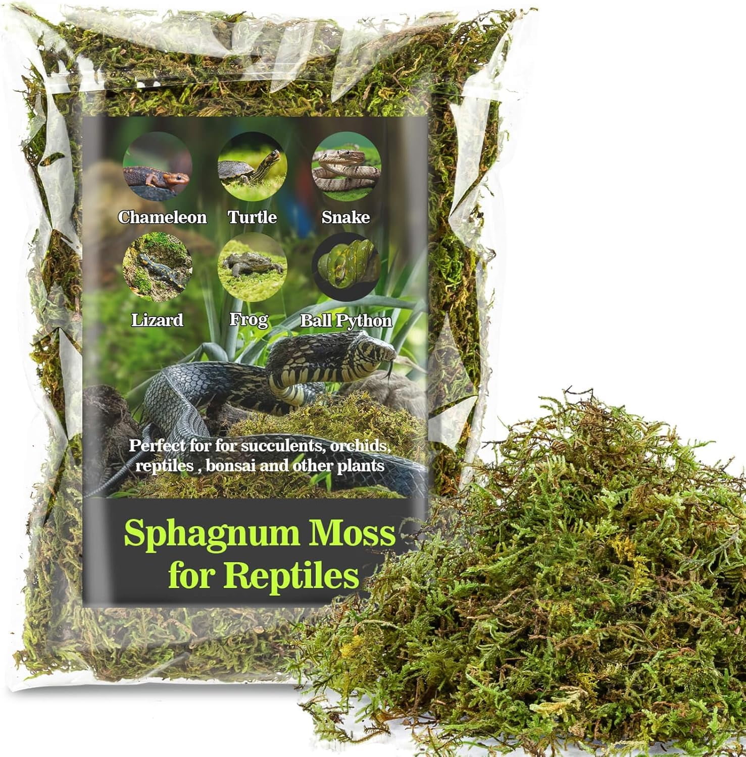 Sphagnum Moss for Reptiles -Terrarium Moss for Reptiles Peat Moss for ...