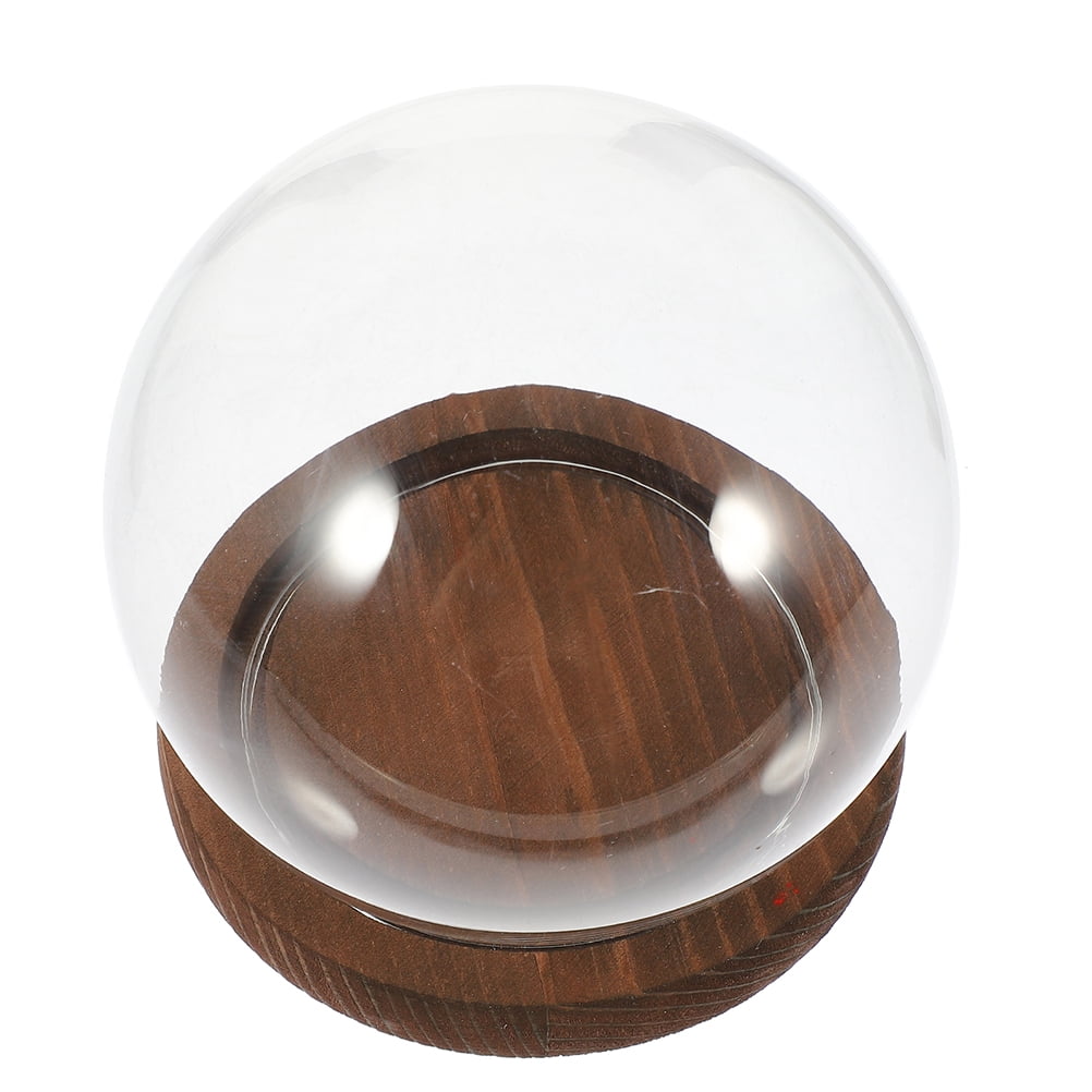Spherical Glass Cover Display Cases For Collections The Gift Table Top ...