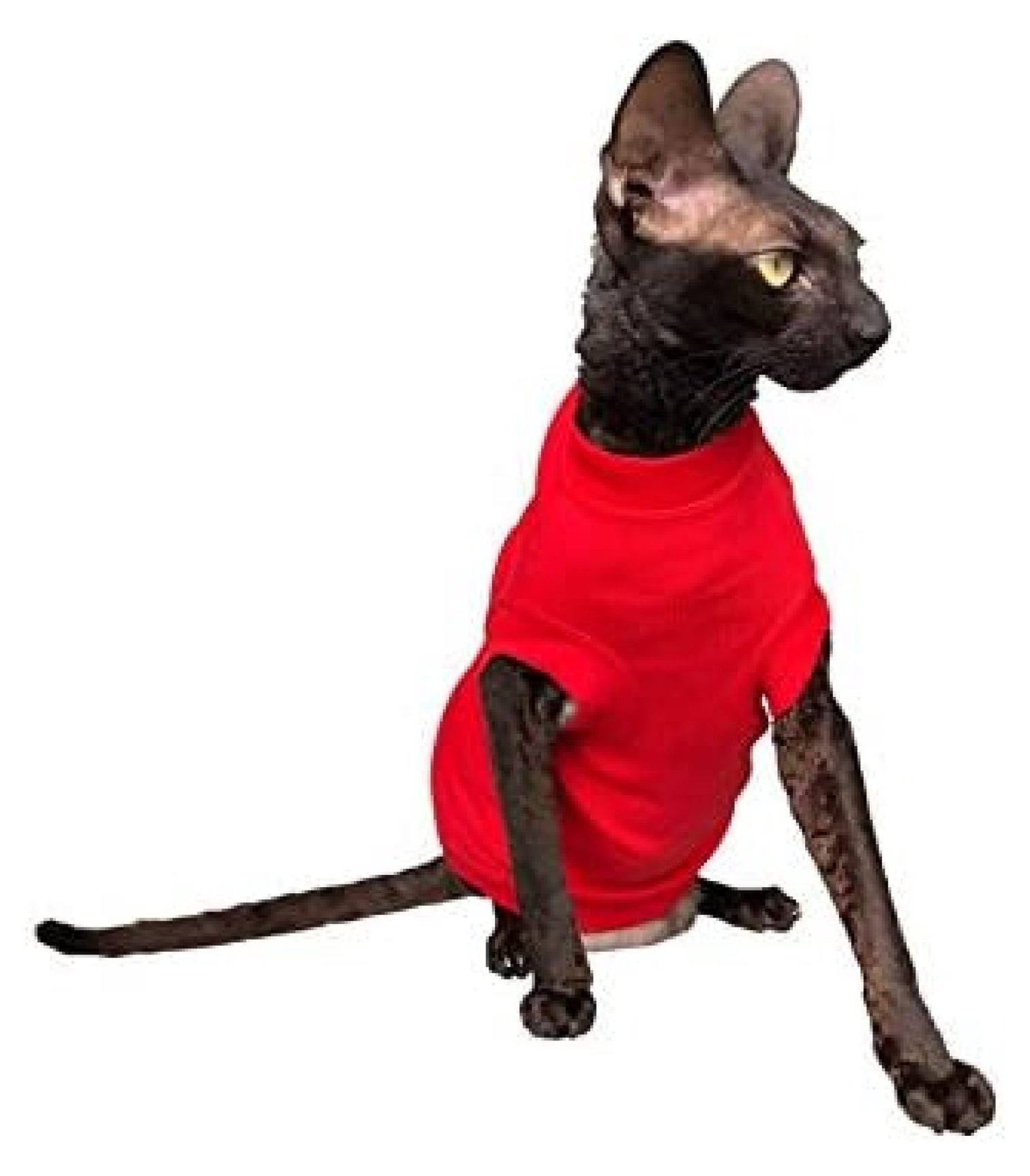 Sphynx Cat's Turtleneck Maxi InRed Naked Cat Hairless Cat Clothes (L ...