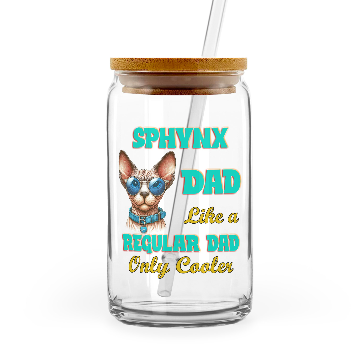 Sphynx Dad Like a Regular Dad Only Cooler Happy Father's Day 16oz Glass ...