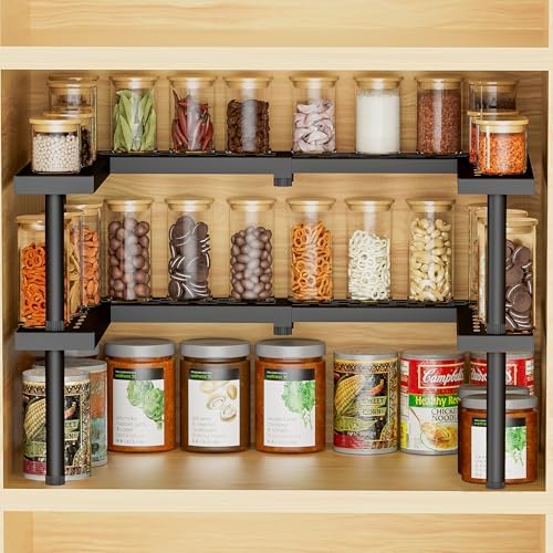 Spice Organizer for Cabinet, 2 Tiers Expandable & Stackable Metal ...