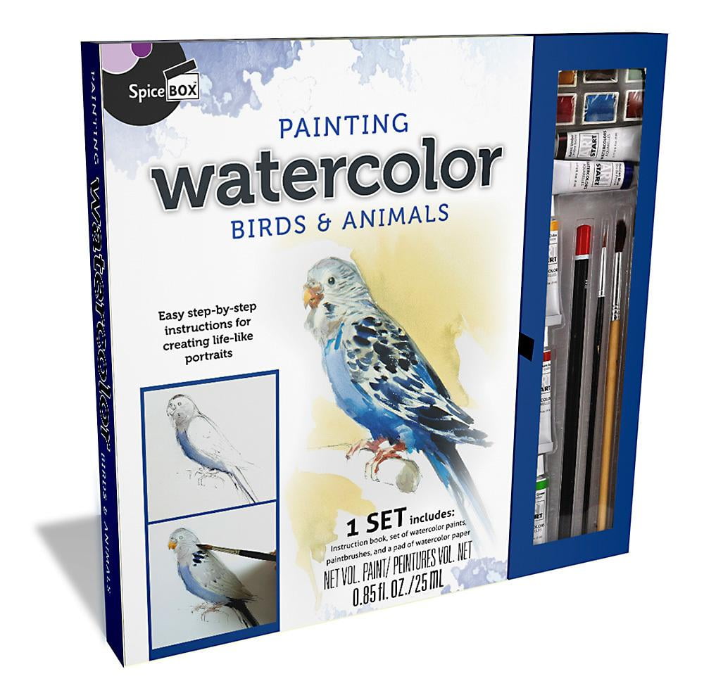 SpiceBox Master Class Step By Step Watercolor Kit - Walmart.com