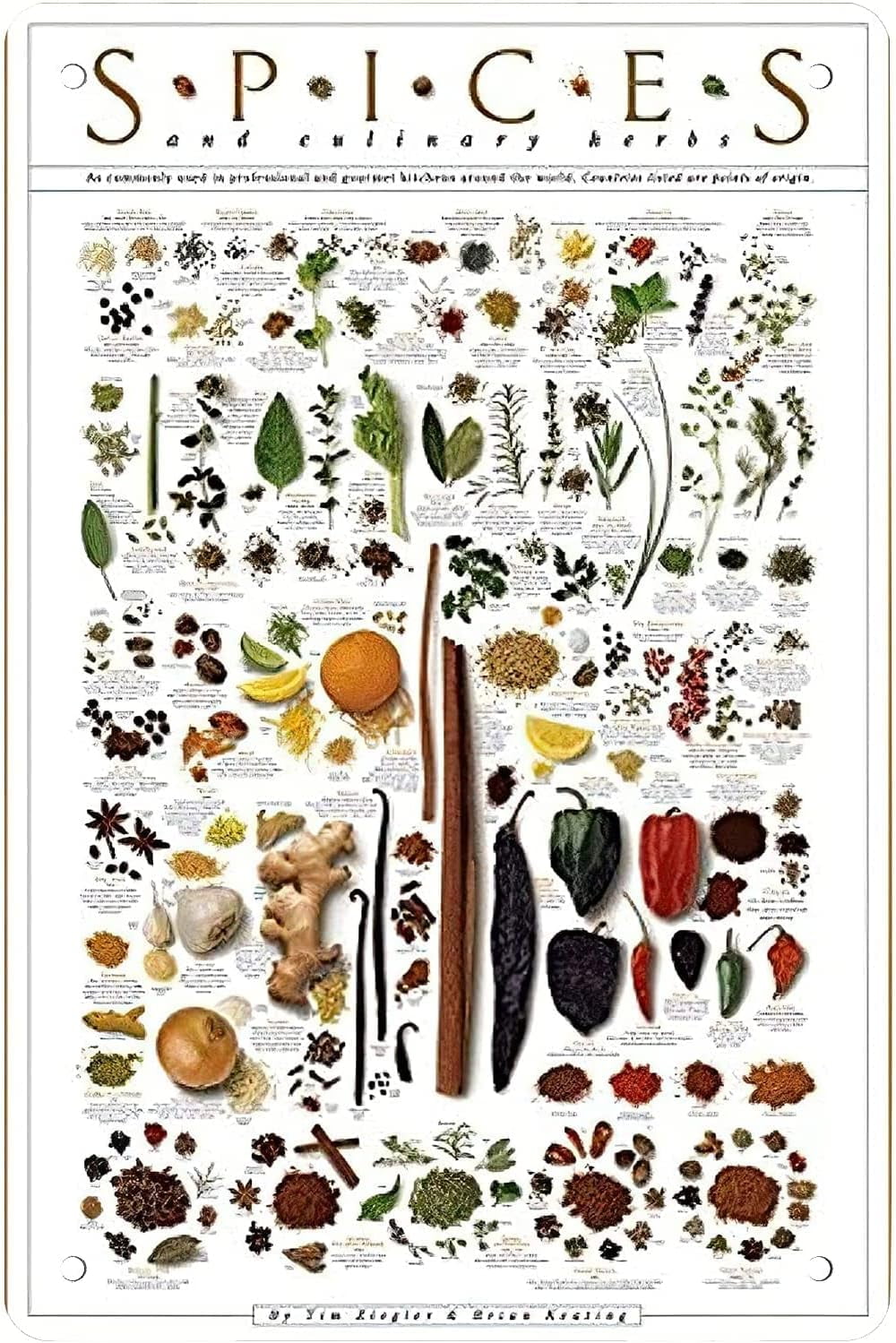 Spices and Culinary Herbs Gourmet Kitchen Cooking Chart Metal Tin Sign ...