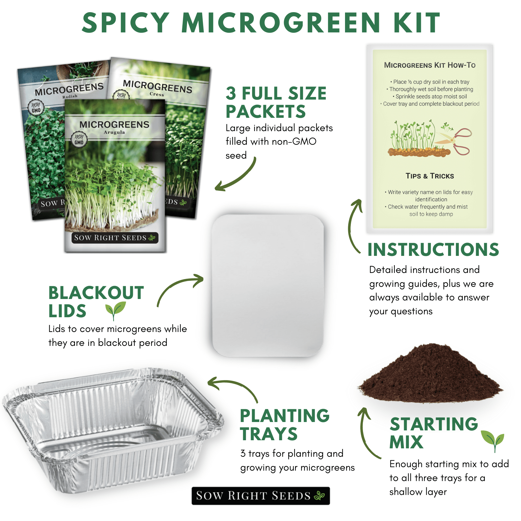 Spicy Microgreens Kit - Grow 3 Non GMO Spicy Plants - Includes Pots ...