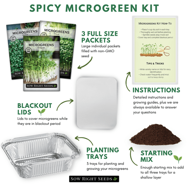 Spicy Microgreens Kit - Grow 3 Non GMO Spicy Plants - Includes Pots & Soil - Indoor Microgreens ...