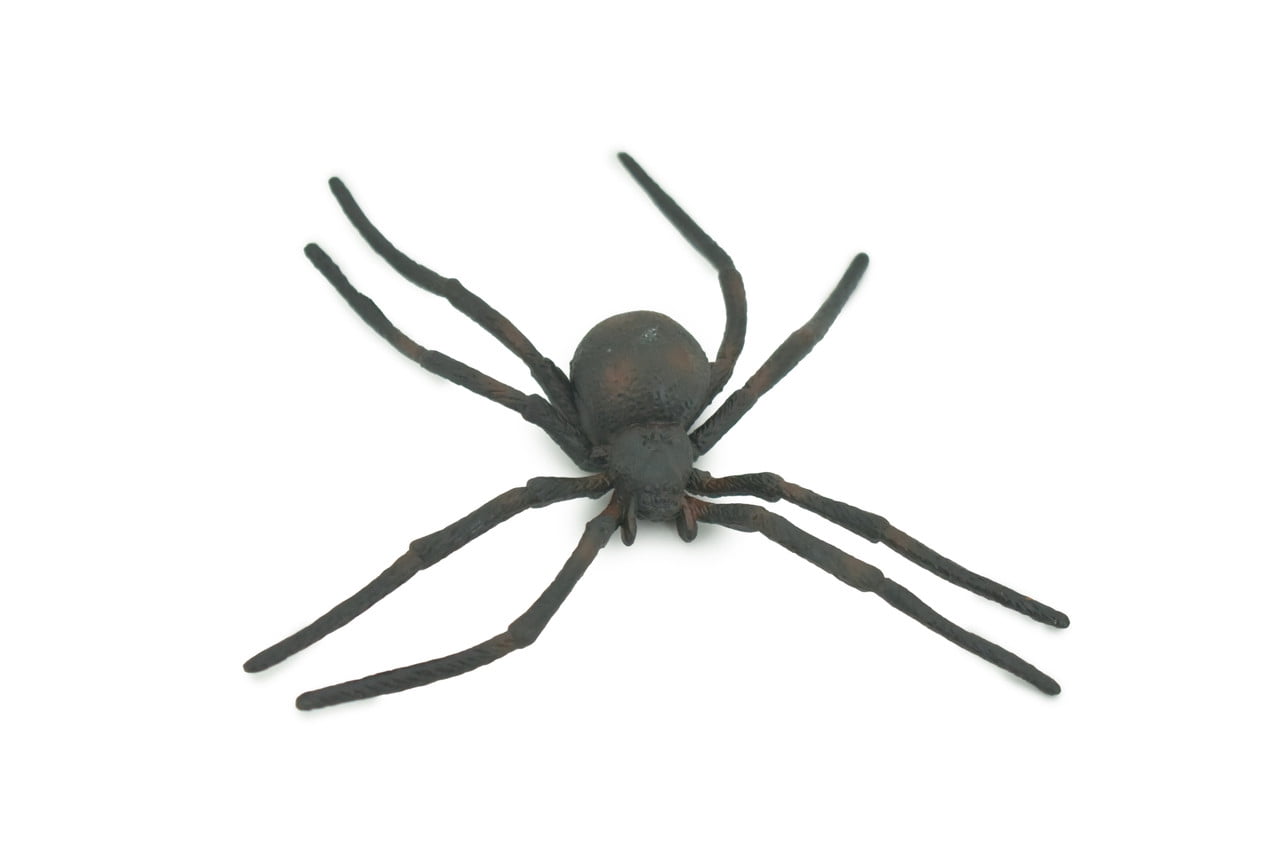 Spider, Black Widow, Latrodectus, High Quality, Hand Painted, Hard ...