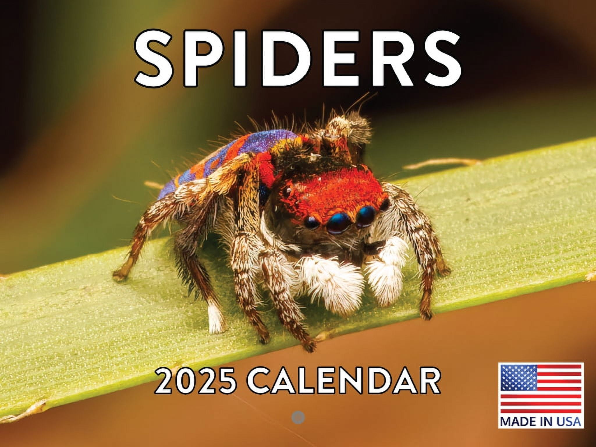 Spider Calendar 2025 Spiders Monthly Wall Calender 12 Month | American ...