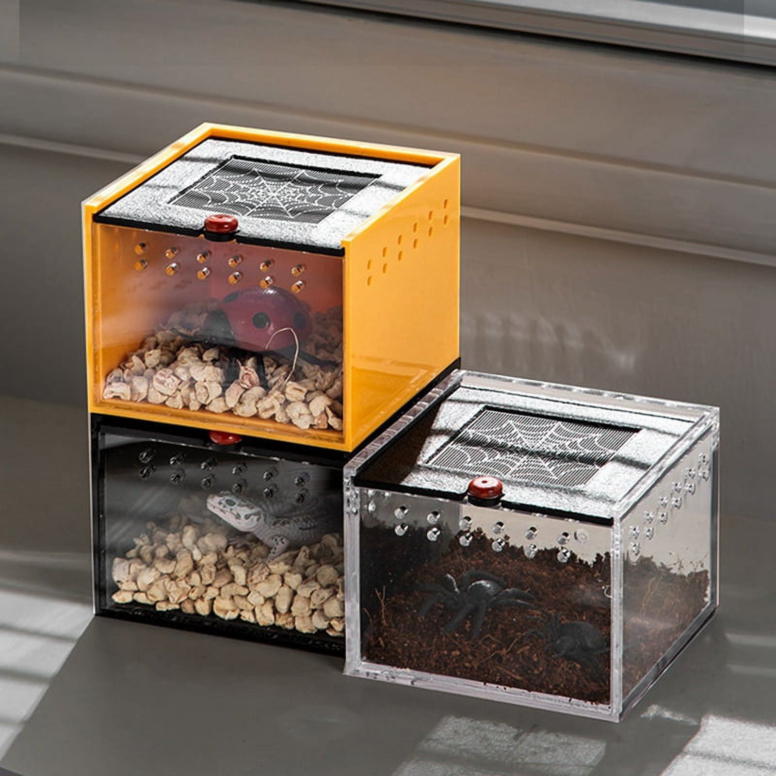 Spider Enclosure Small Insect Breeding Box Prevent Escape Reptile ...