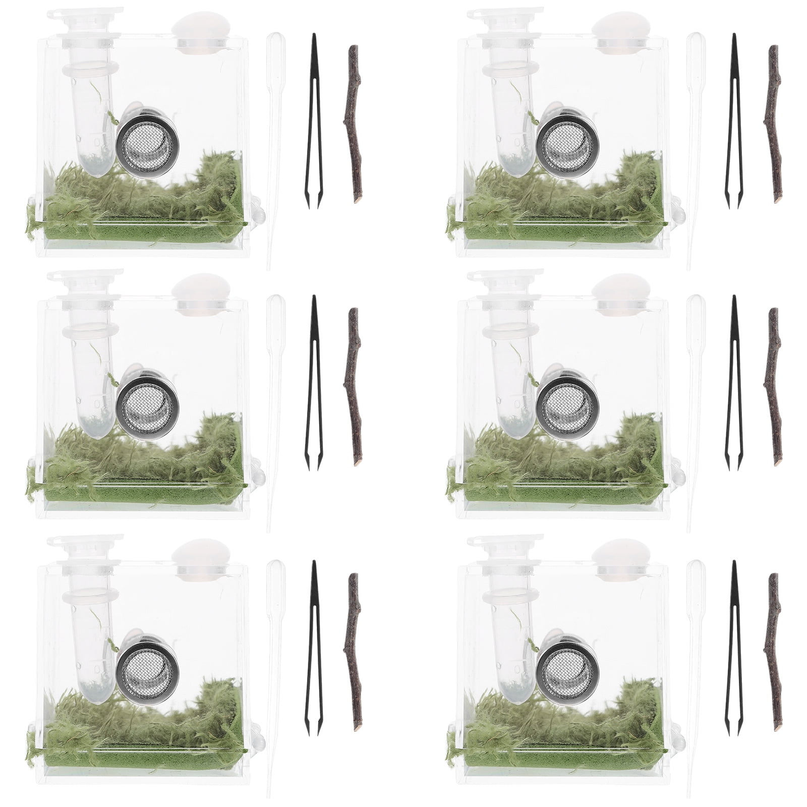 Spider Feeding Case Jumping Breeding Box Snail Terrarium Glass Acrylic ...