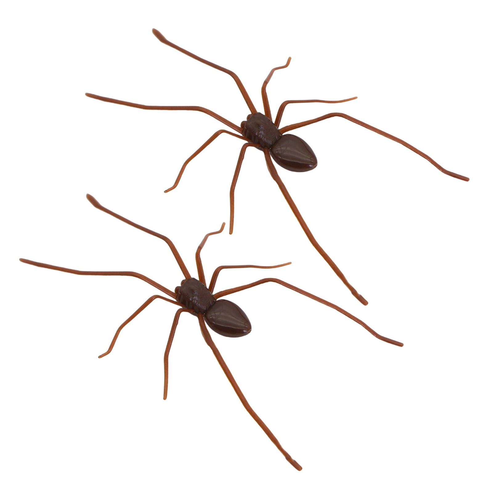 Spider Fridge Magnet, Realistic Spider Magnets, Cute Spiders Designs ...