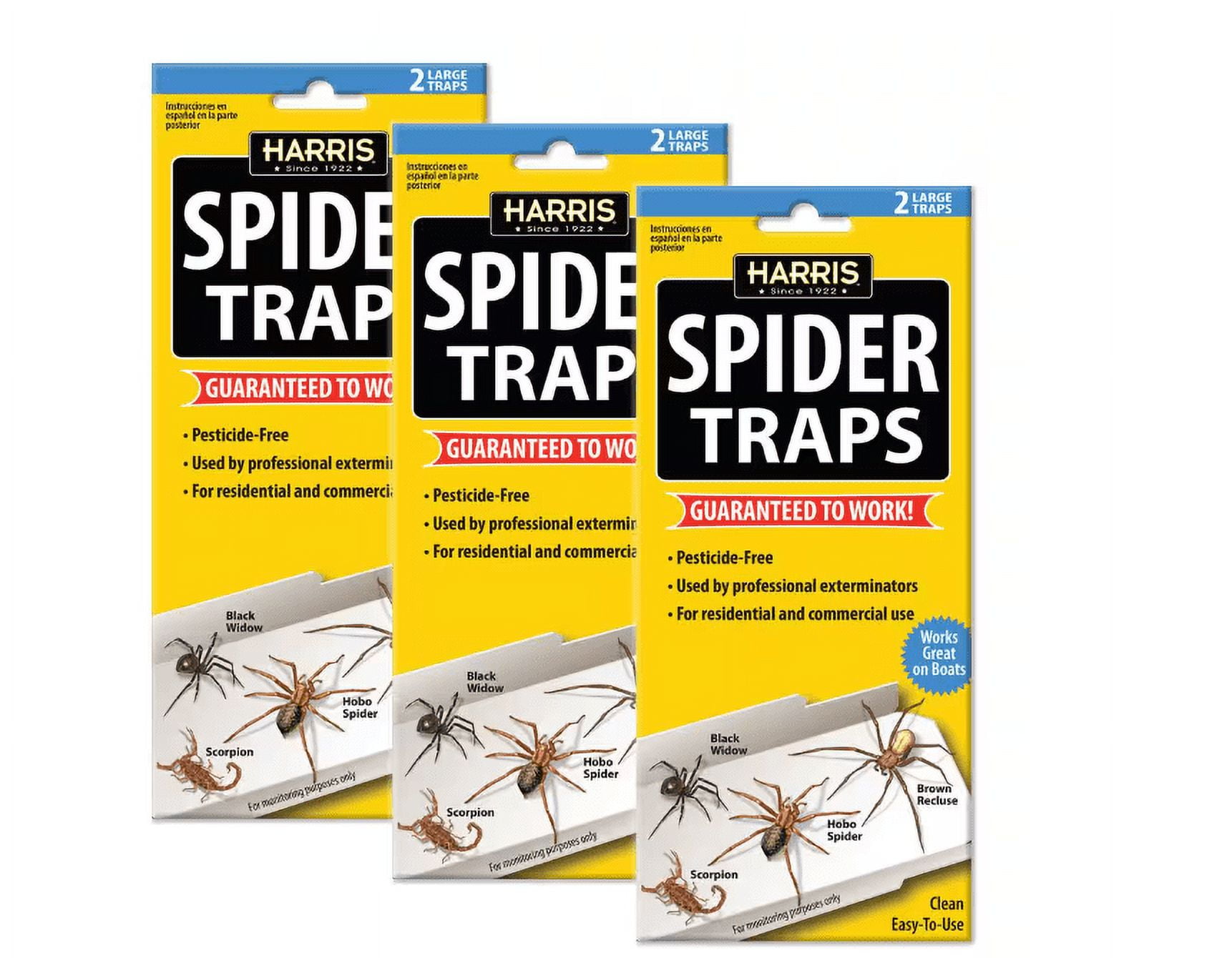 Spider Glue Traps (6-Pack) - Walmart.com