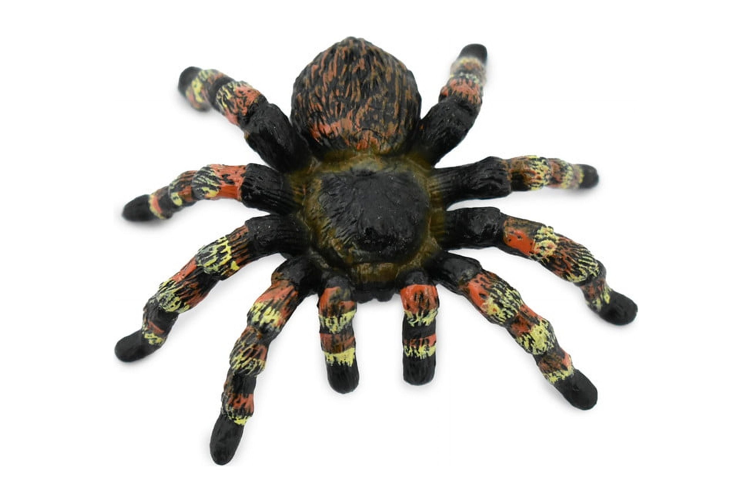 Spider, Goliath Bird Eating Spider, Hand Painted, Rubber Insect ...