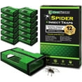 Spider + Insect Traps (12 pcs Box Trap) | Non-Toxic Extra Sticky Glue ...