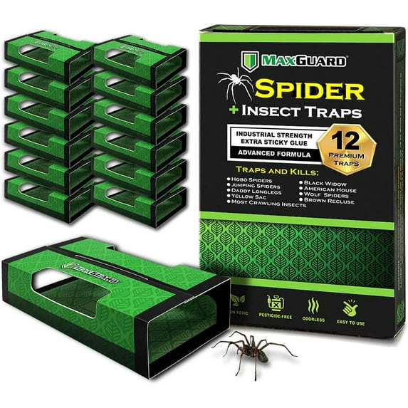 Spider + Insect Traps (12 pcs Box Trap) | Non-Toxic Extra Sticky Glue ...