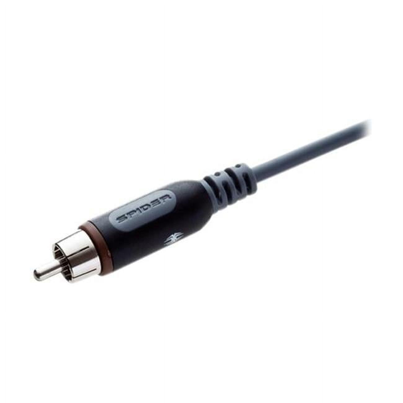 Spider International C-Series Optimum Subwoofer Cable - Walmart.com