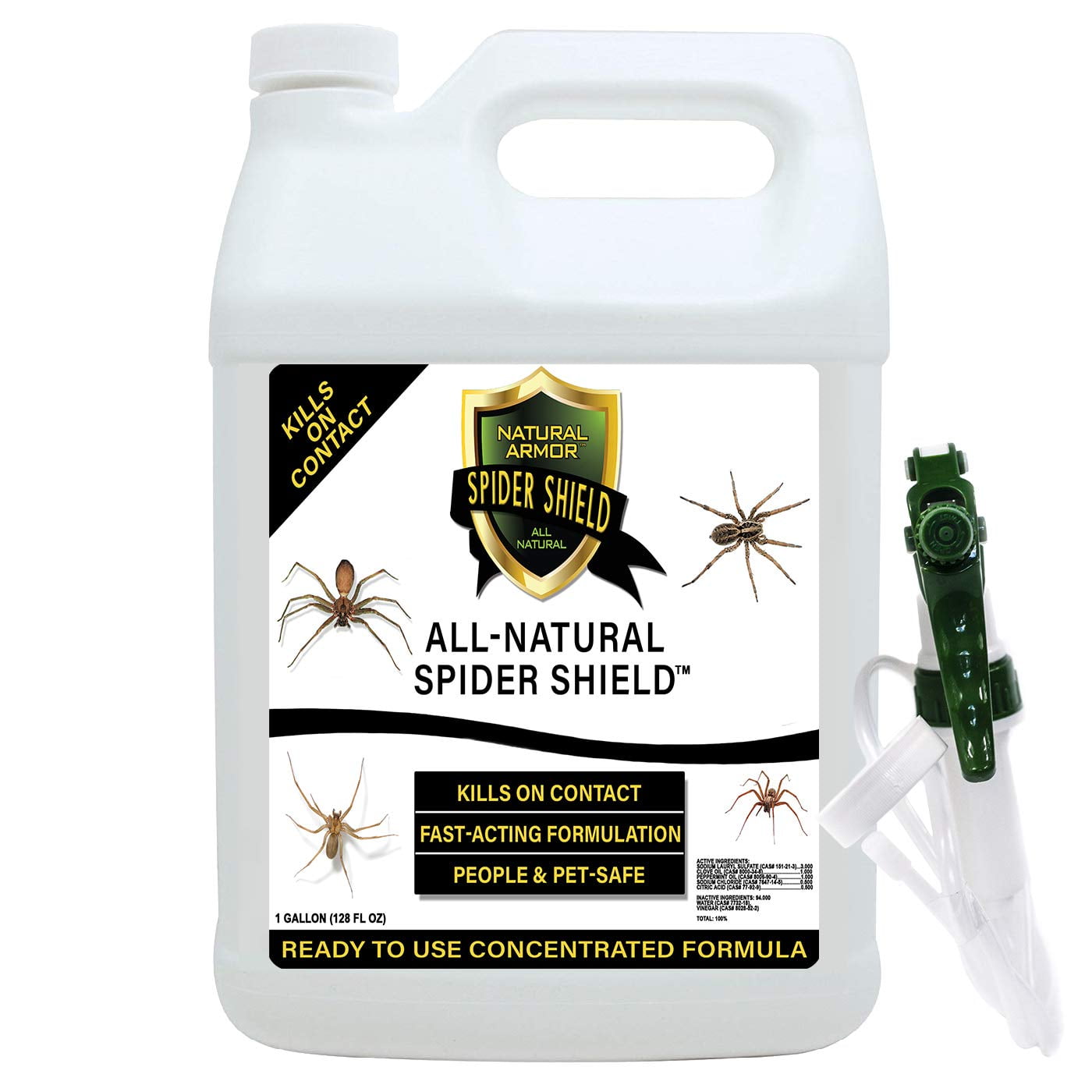 Spider Killer & Repellent Spray - Powerful Peppermint Formulation Kills ...