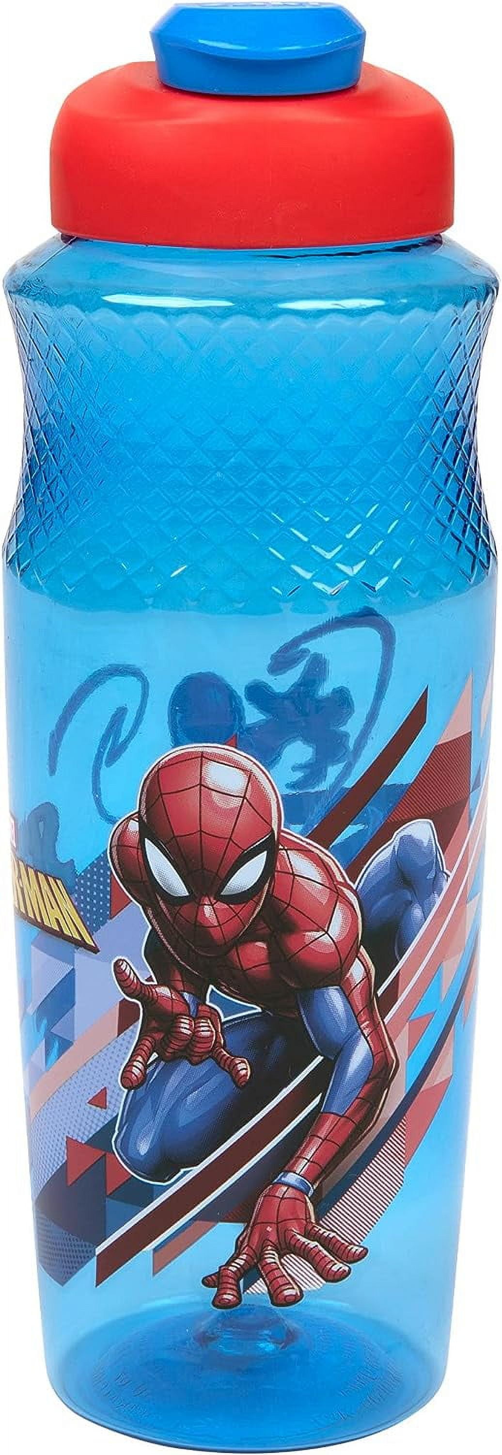 Spider Man Character 30oz Sullivan Water Bottle - Walmart.com