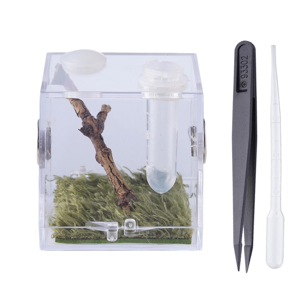 Spider Reptile Insect Feeding Box Reptile Breeding Box Terrarium ...