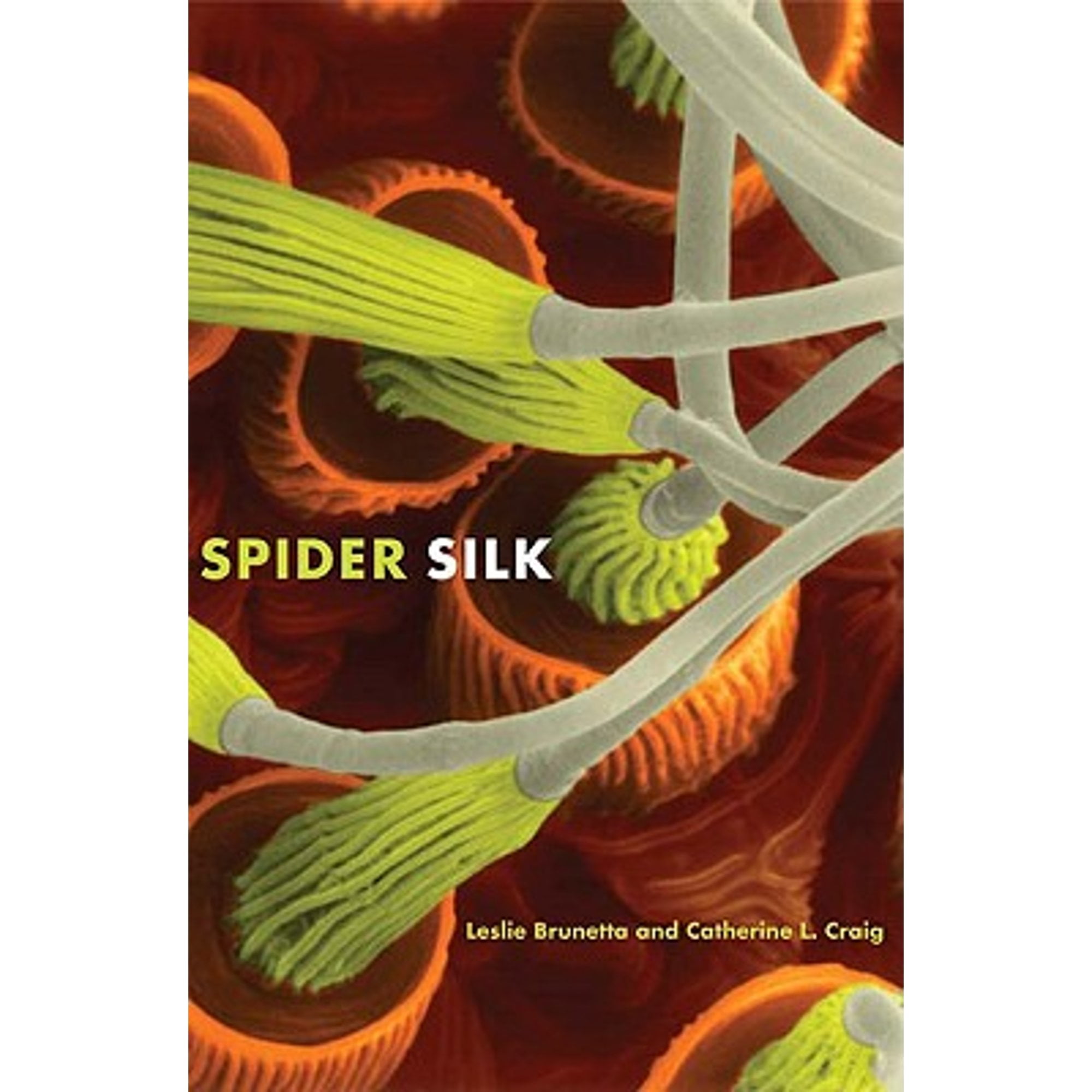 Pre-Owned Spider Silk: Evolution and 400 Million Years of Spinning ...