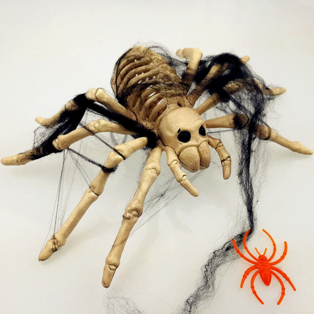 Spider Skeleton Model Horrified Lifelike Skeleton Model for Halloween ...