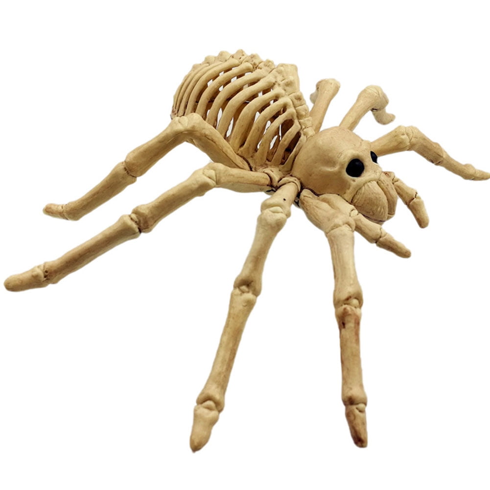 Spider Skeleton Model Horrified Lifelike Skeleton Model for Halloween ...