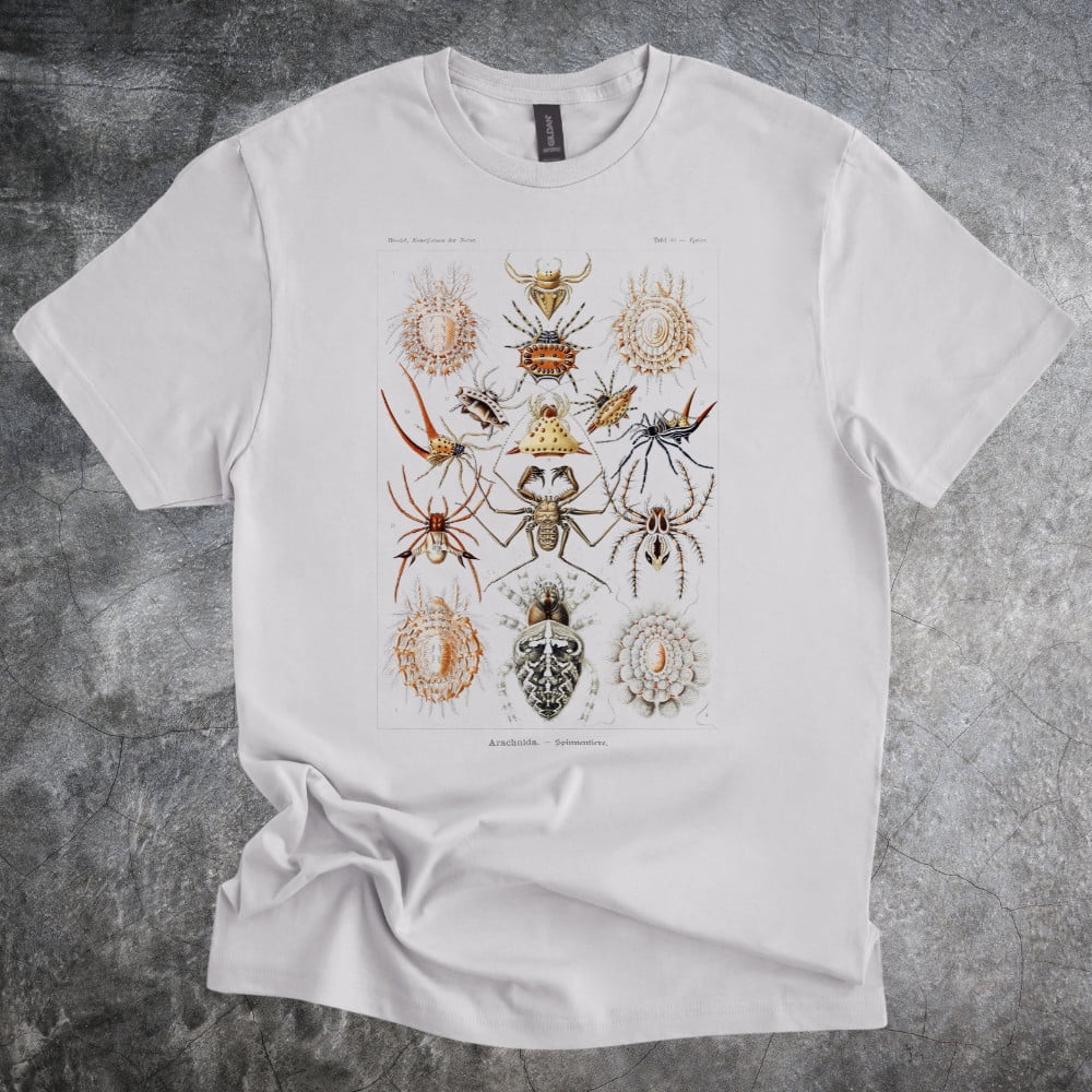 Spider Species Chart Arachnid Illustration Graphic T-Shirt - Walmart.com
