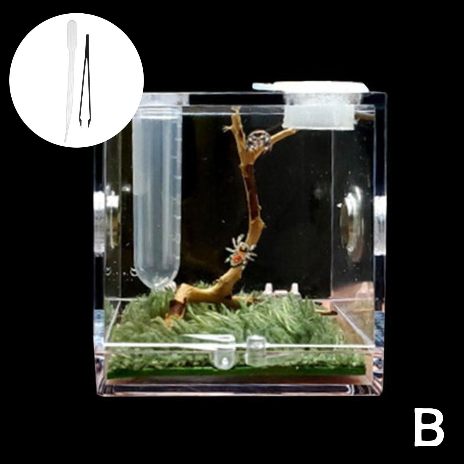 Spider Terrarium, Clear Acrylic Reptile Cage Habitat Insect Feeding Box ...