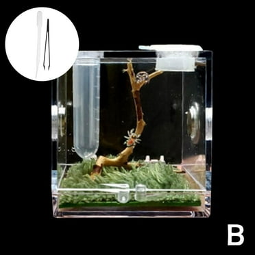 Spider Terrarium, Clear Acrylic Reptile Cage Habitat Insect Feeding Box ...