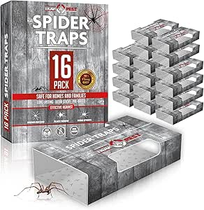 Spider Traps for Inside Your Home (16 Traps) - Spider Catcher Insect ...