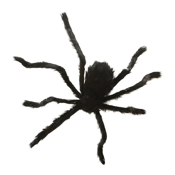 Motion Activated Spider