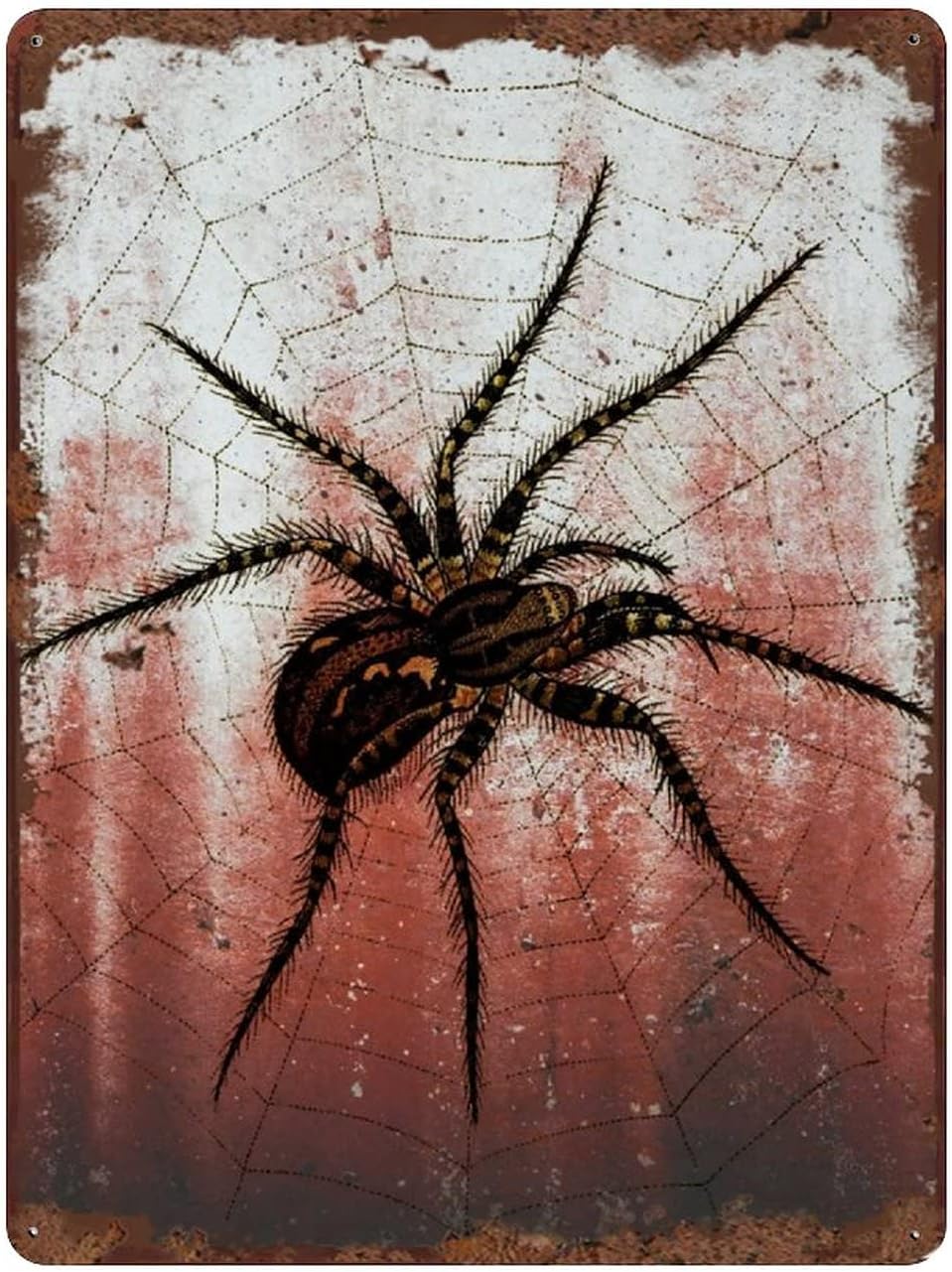 Spider Web Fun Tin Sign Web Art Web Spider Spider Web Fun Tin Sign Art ...