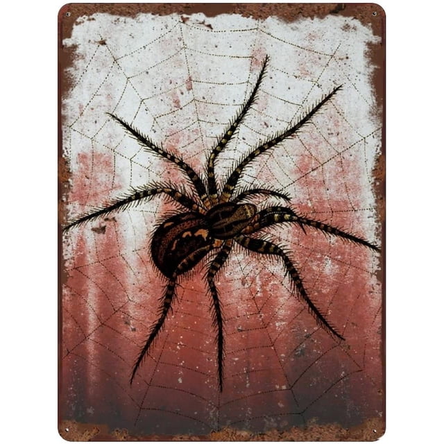 Spider Web Fun Tin Sign Web Art Web Spider Spider Web Fun Tin Sign Art ...