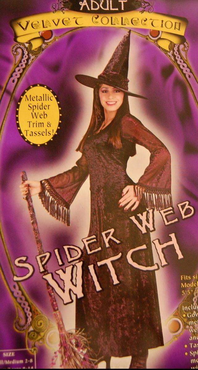 Funworld Spider Web Witch Costume Medium/Large 8-14 Female - Walmart.com